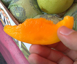 Heidi - ZZ - Fresh Mangoes